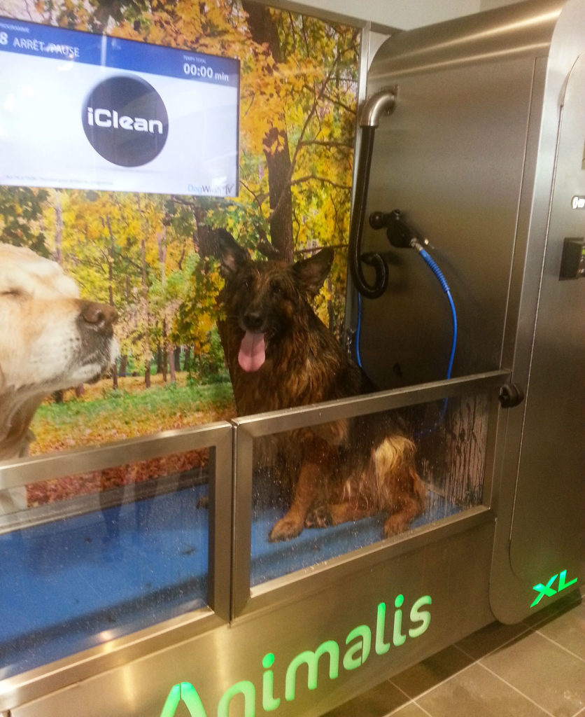 Ouverture d'un Dogwash à Thonon les bains